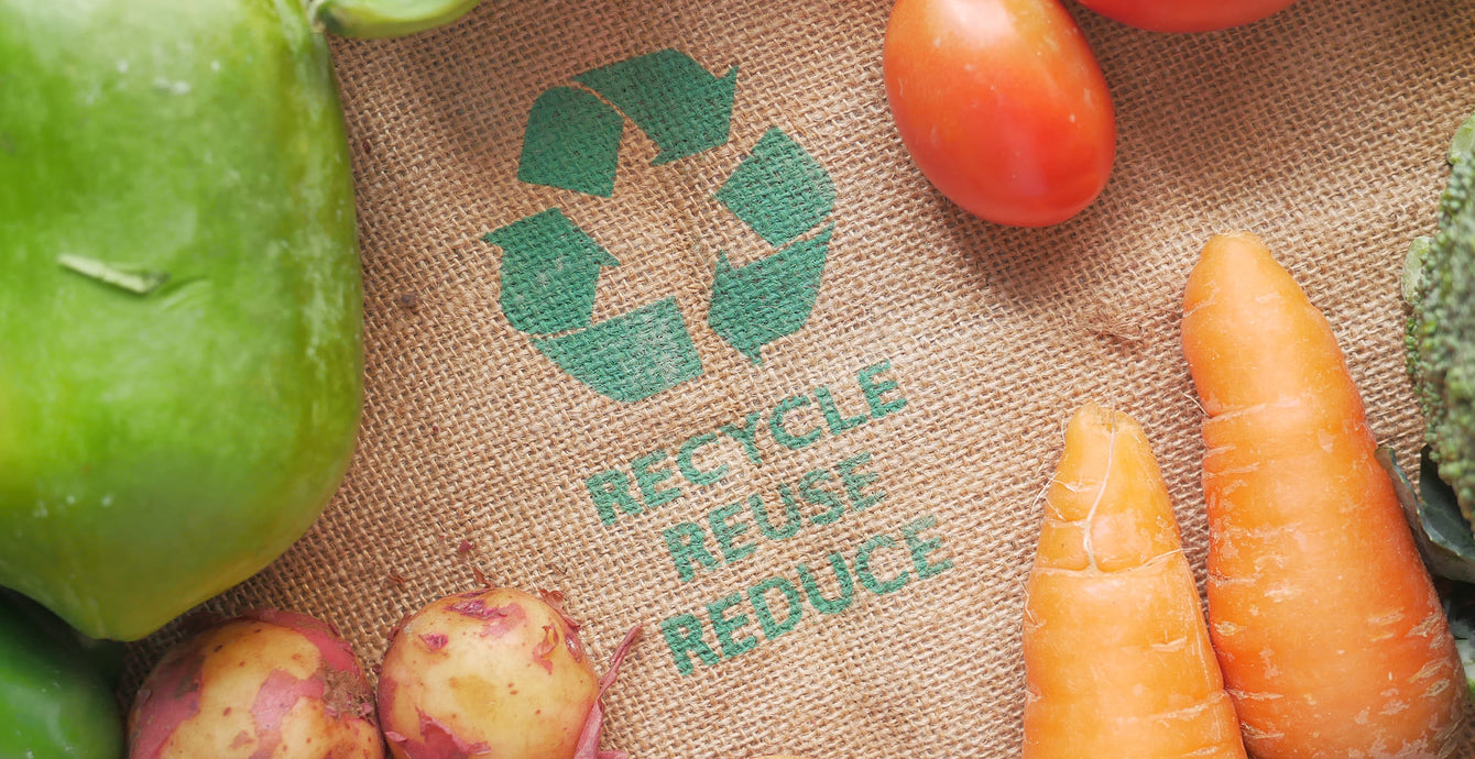 3R : Réduire, Réutiliser, Recycler pour une Vie Écologique